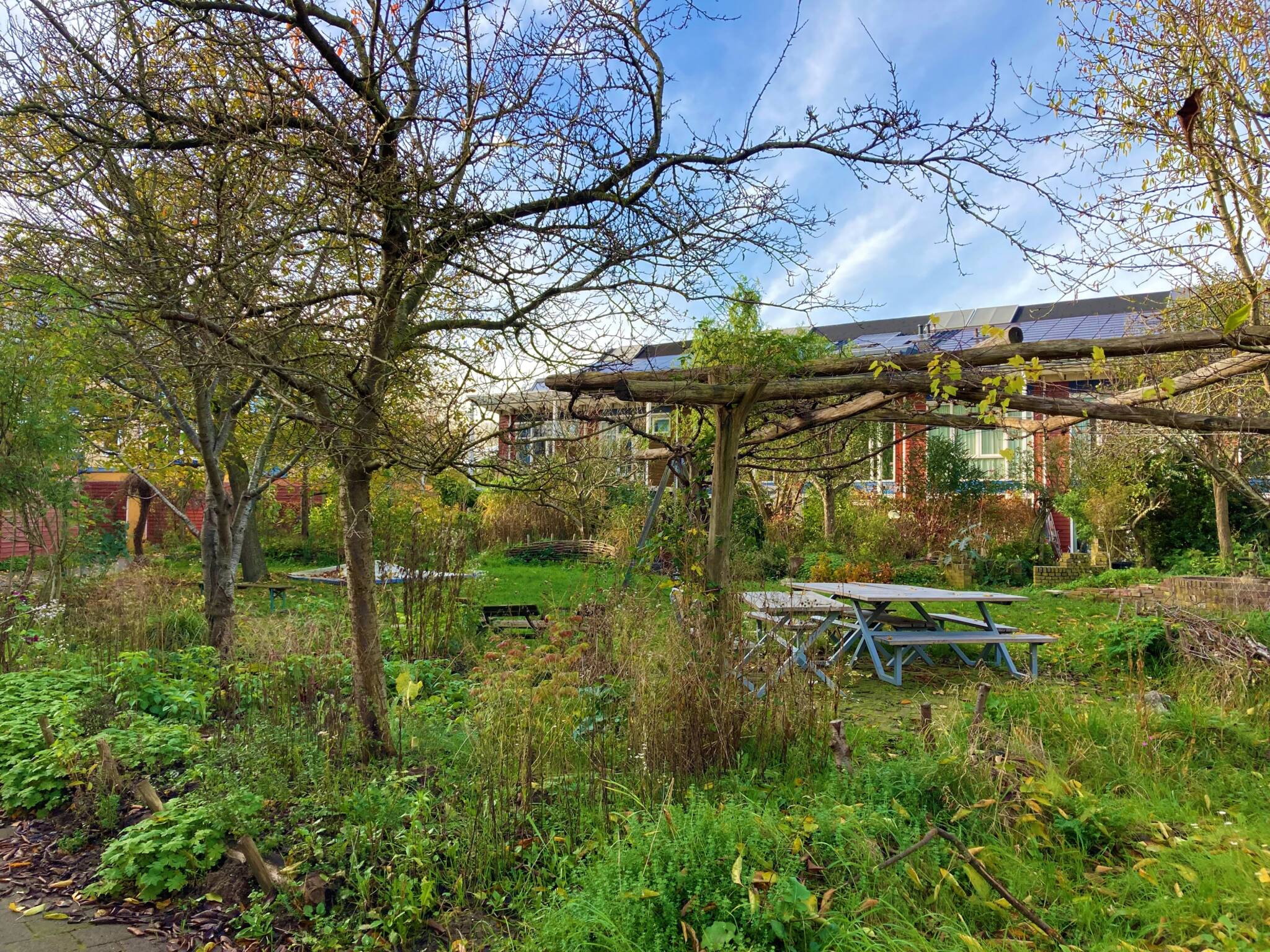 EEN GEZONDE EN DUURZAME LEEFOMGEVING: HET KAN WEL! - Beeckk